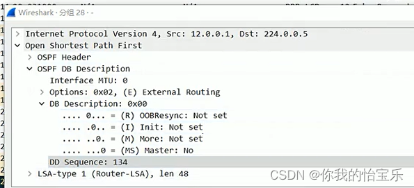 HCIP —— OSPF 的 LSA 详解_ospf lsa-CSDN博客