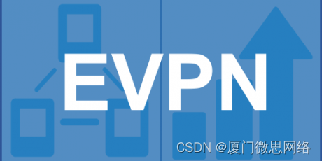 EVPN：下一代全业务承载的解决方案与应用,-CSDN博客