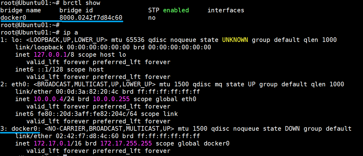 容器虚拟网卡与网桥docker0虚拟网卡的veth pair的配对-CSDN博客