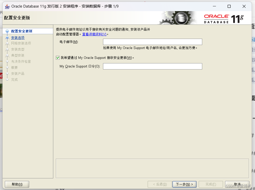 ORCALE11g安装（可视化桌面+注册）_oracle11g管理界面-CSDN博客