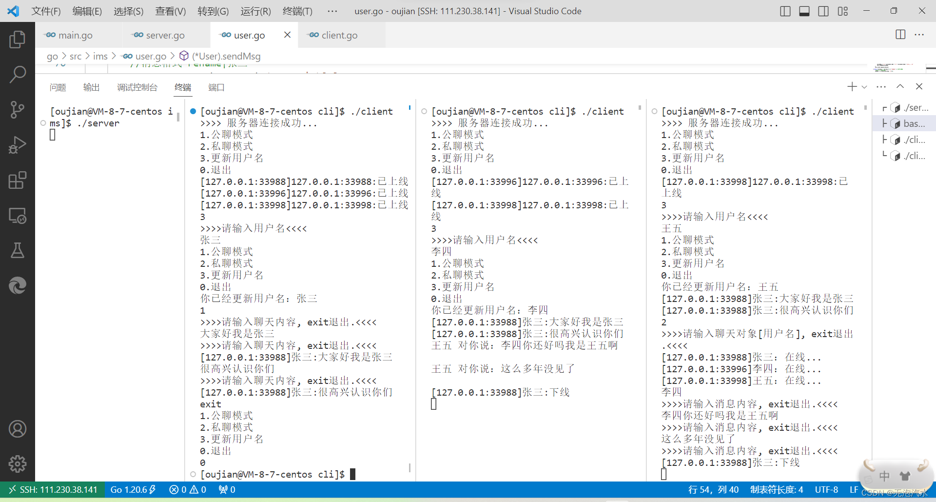 Golang开发的即时通讯系统golang聊天系统 Csdn博客