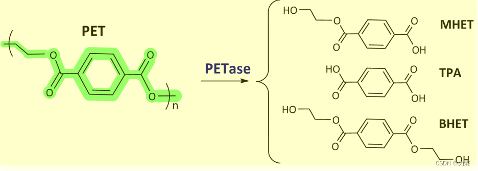 使用DFT/MM分子动力学模拟研究PET降解酶反应机制_dft计算酶活机理-CSDN博客