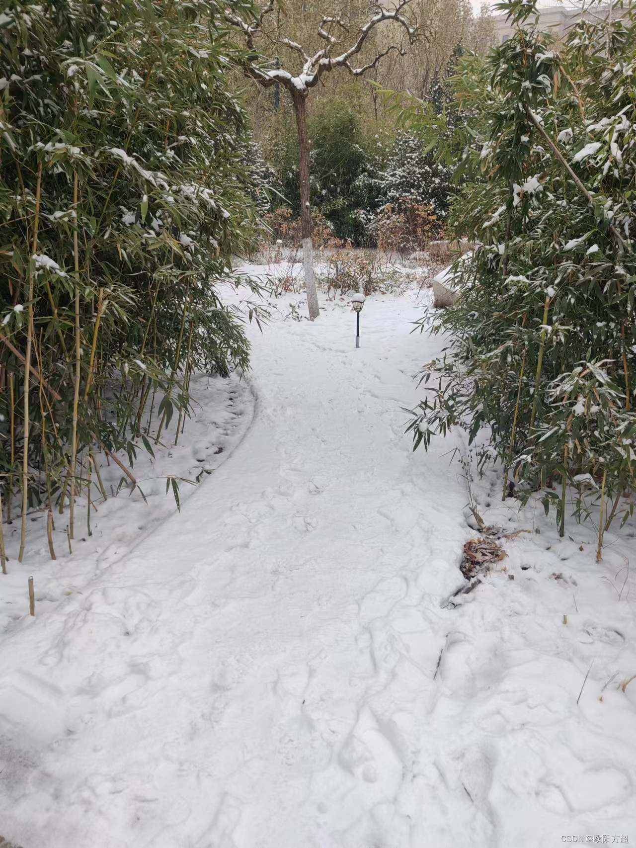 MyBatis-Plus（一）：根据指定字段更新或插入_saveorupdate根据什么字段来保存或者更新-CSDN博客