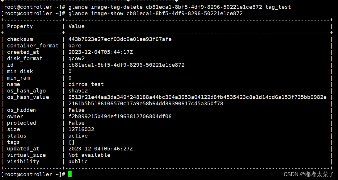 【Openstack Train】十五、glance命令、Python SDK_glance镜像删除命令-CSDN博客