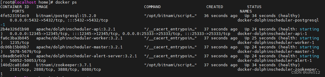 DolphinScheduler(海豚调度)- docker部署实战-CSDN博客