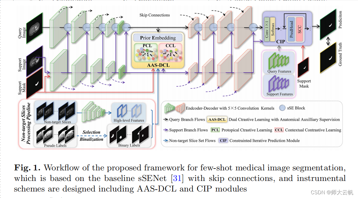 contrastive learning medical image segmentation_dual contrastive ...
