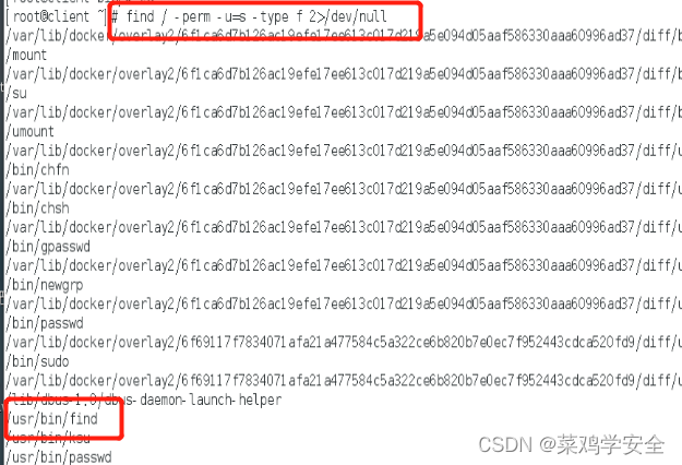 linux sid提权（保姆级教程）-CSDN博客