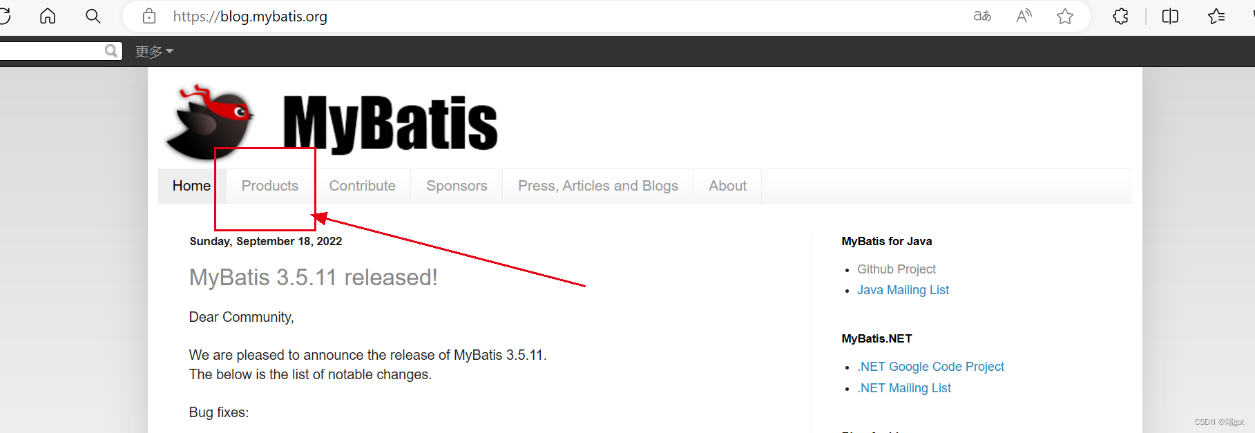 学习日记（Mybatis基础）-CSDN博客