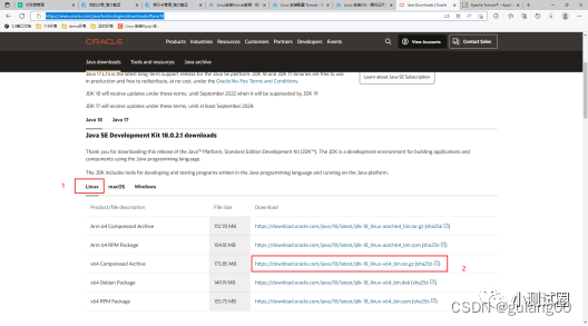 Linux安装JDK详细教程_jdk linux-CSDN博客