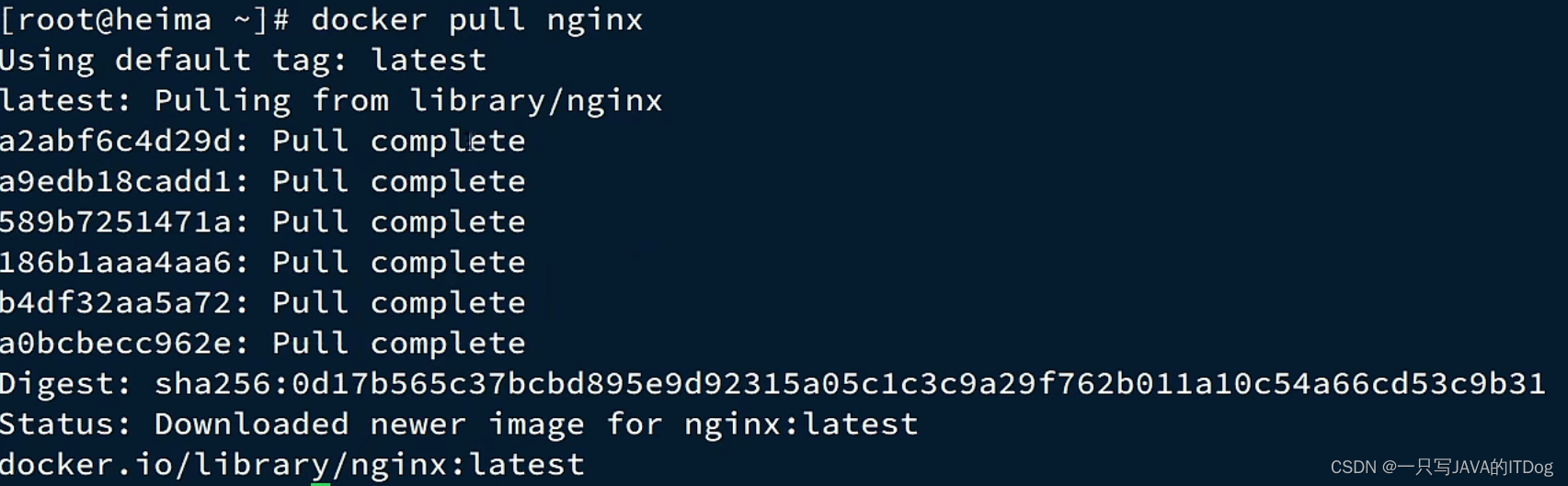 docker基础命令：安装应用（docker安装nginx）_docker exec -it nginx bash root-CSDN博客