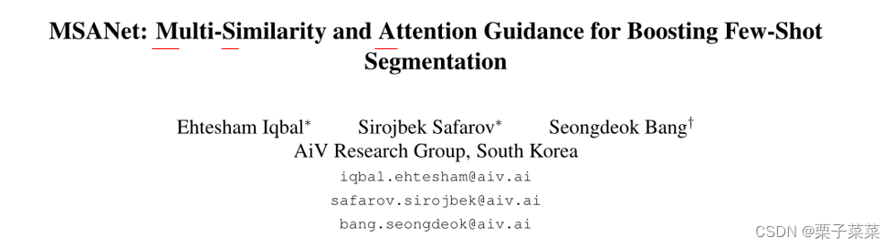 【小样本分割】MSANet: Multi-Similarity and Attention Guidance for Boosting Few-Shot Segmentation-CSDN博客
