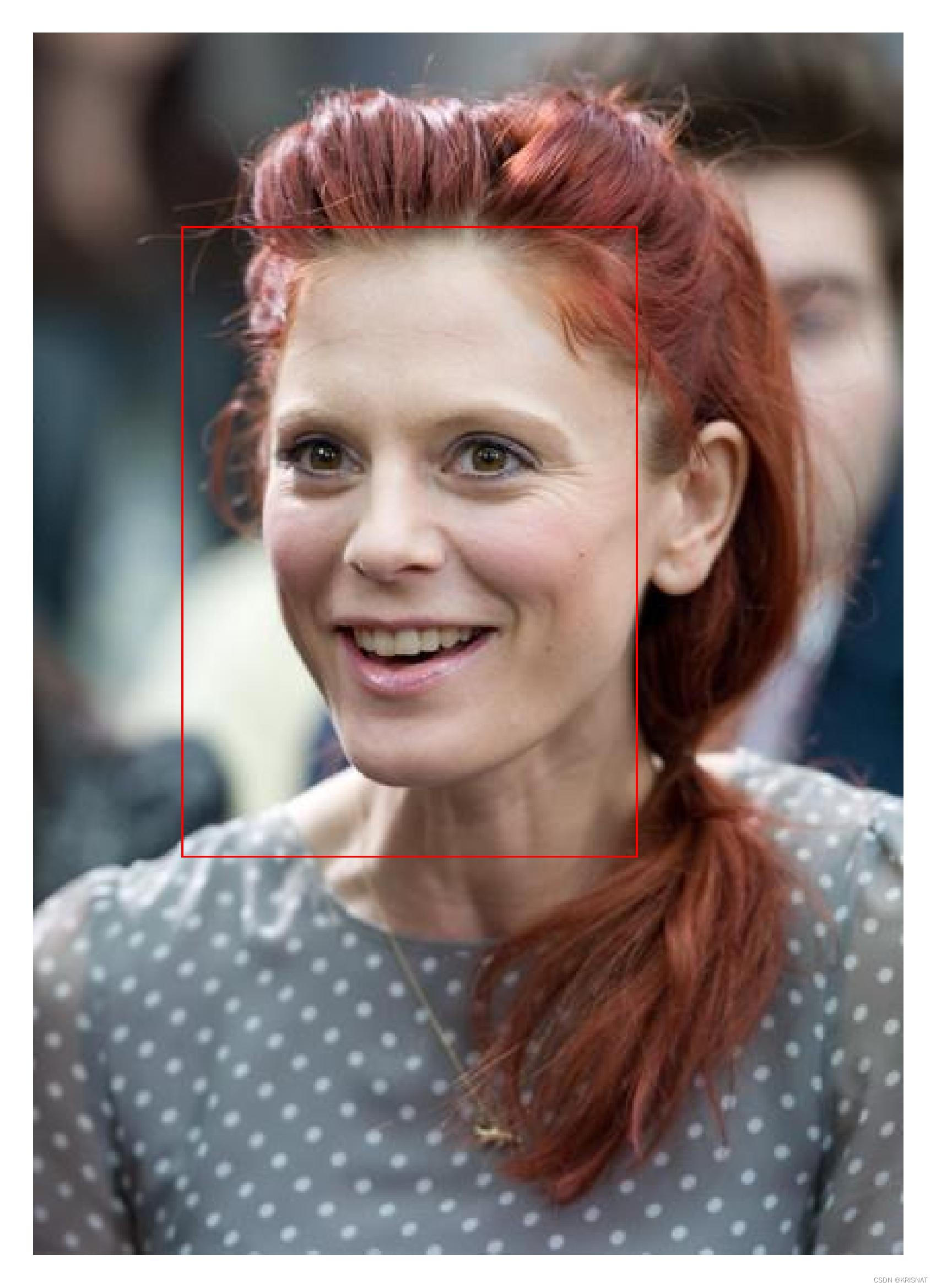 详解CelebA数据集及基于Python实现的下载、读取、解析和可视化-CSDN博客