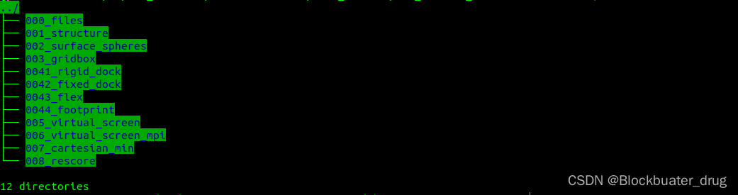 UCSF DOCK 分子对接详细案例（02）-并行用于高通量虚拟筛选_高通量分子对接-CSDN博客