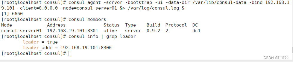 docker之Consul环境的部署_docker 安装consul-CSDN博客