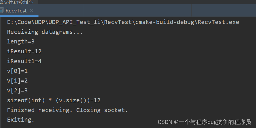 C++ UDP发送和接收vector＜int＞变长数组报文_c++ socket发送vector 数据-CSDN博客