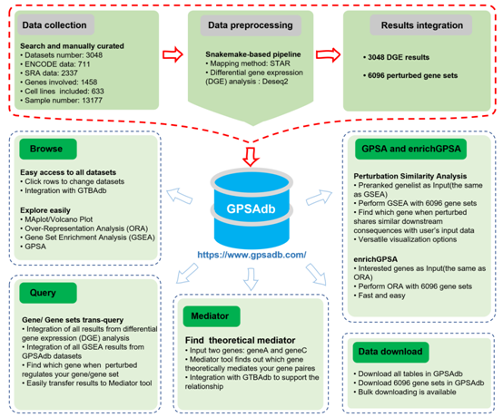 NAR | 重庆医科大学附属第一医院刘胜春教授课题组发布人类基因扰动转录组数据分析平台GPSAdb...-CSDN博客