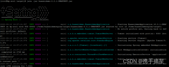鲲鹏云应用_porting advisor-CSDN博客