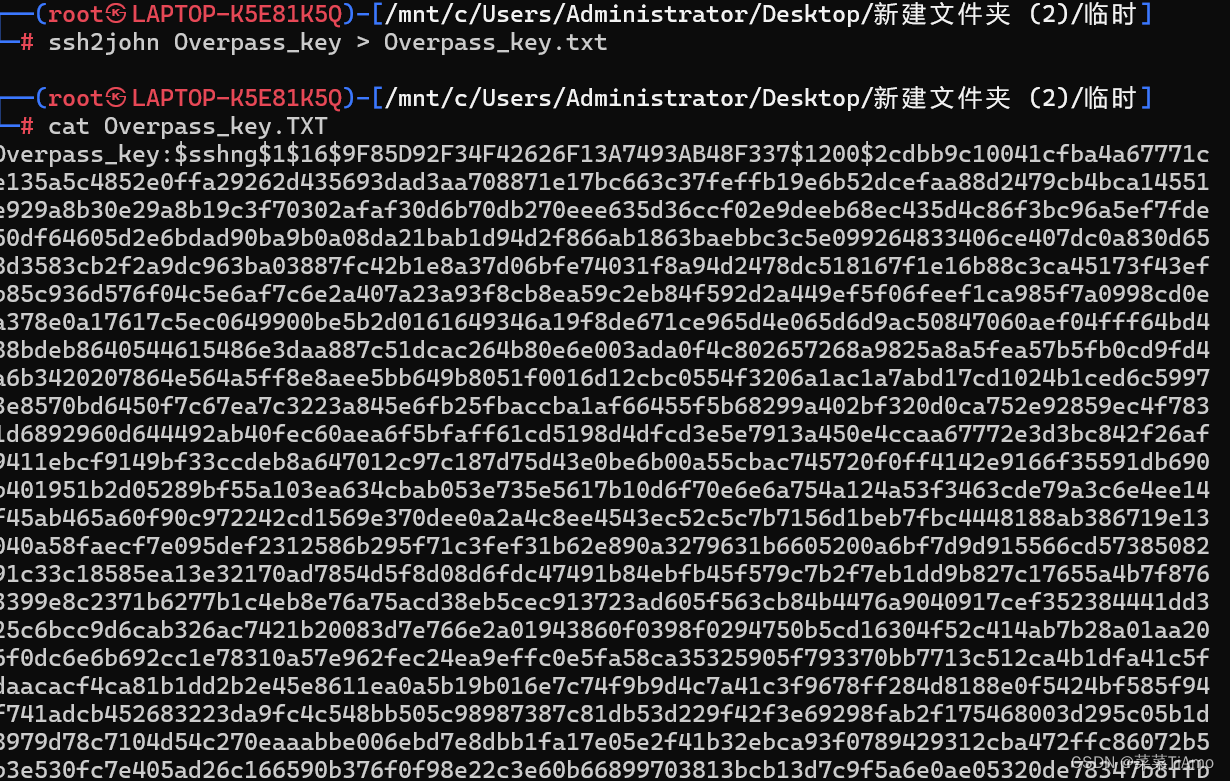 【全网最细】TryHackMe Overpass 题解_tryhackme通关教程-CSDN博客