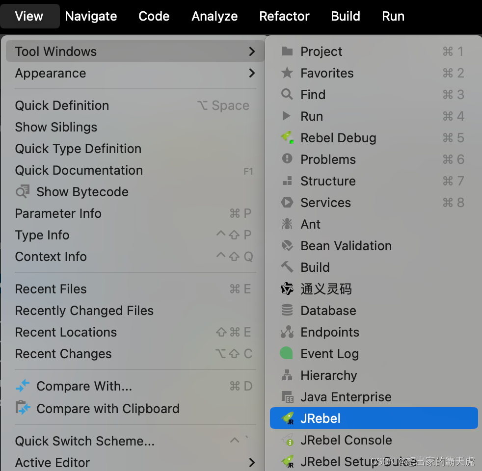 java热部署idea插件「jrebel安装教程」_jrebel 激活-CSDN博客