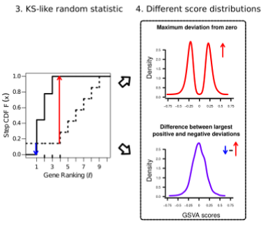 GSA、GSEA、ssGSEA、GSVA用到的统计学知识点-CSDN博客