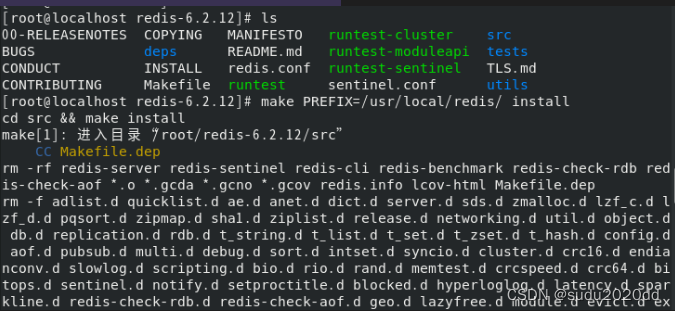 SSRF——手把手教你Redis反弹Shell-CSDN博客