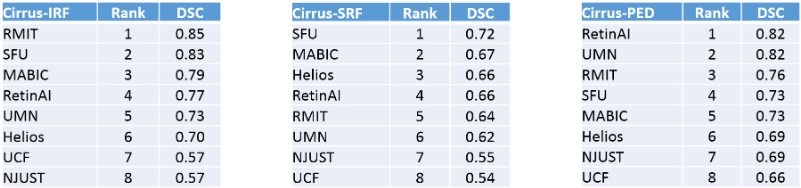 【眼底数据集】RETOUCH & REFUGE & IDRiD_refuge数据集-CSDN博客