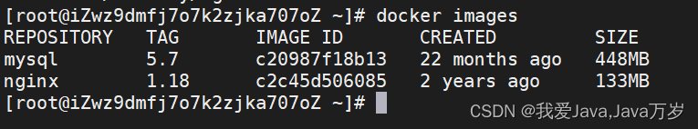 Docker快速搭建Nginx服务器_docker nginx 文件服务器-CSDN博客