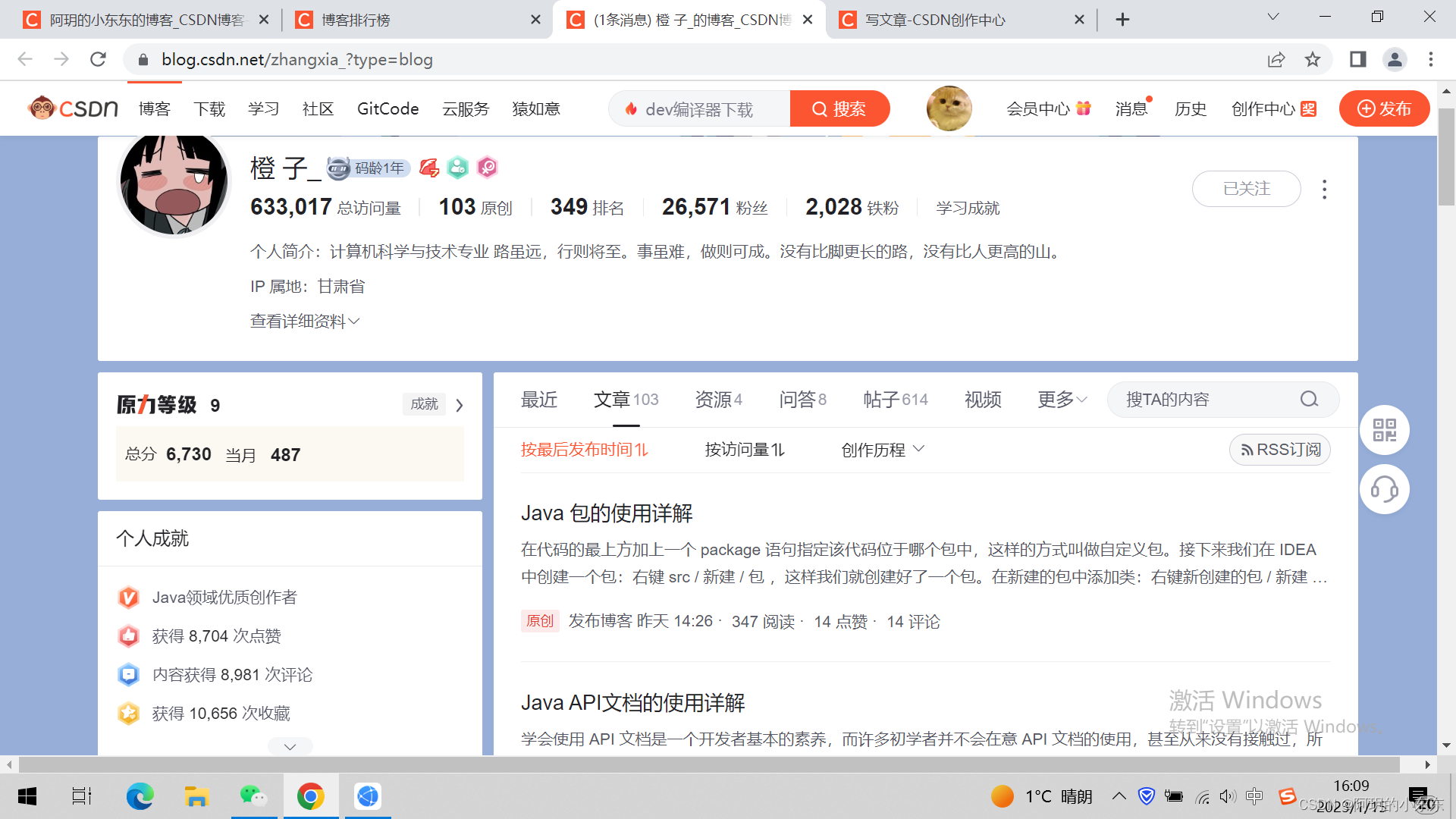 来看看我在CSDN上的好朋友们吧，看看有没有你_microfrank-CSDN博客