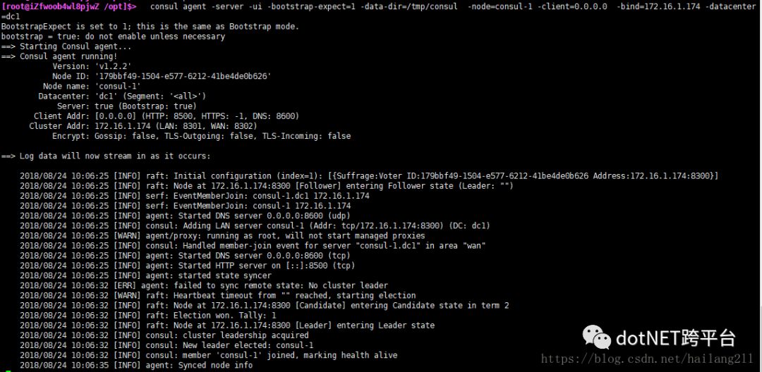 .netcore consul实现服务注册与发现-单节点部署-CSDN博客
