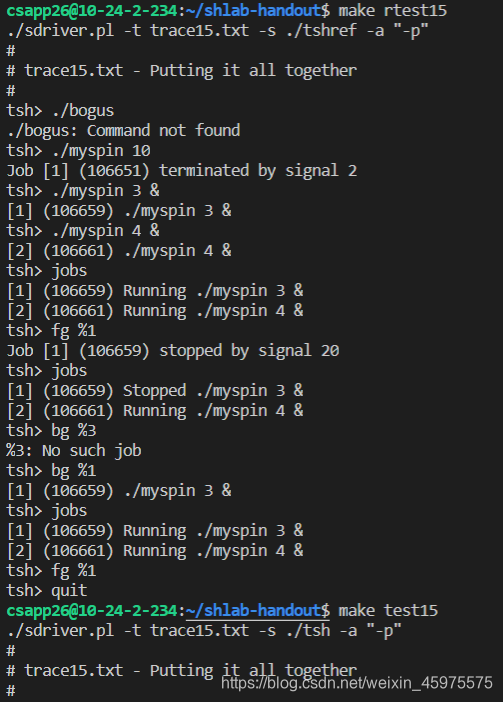 CSAPP shelllab实验_csapp:shelllab实验-CSDN博客