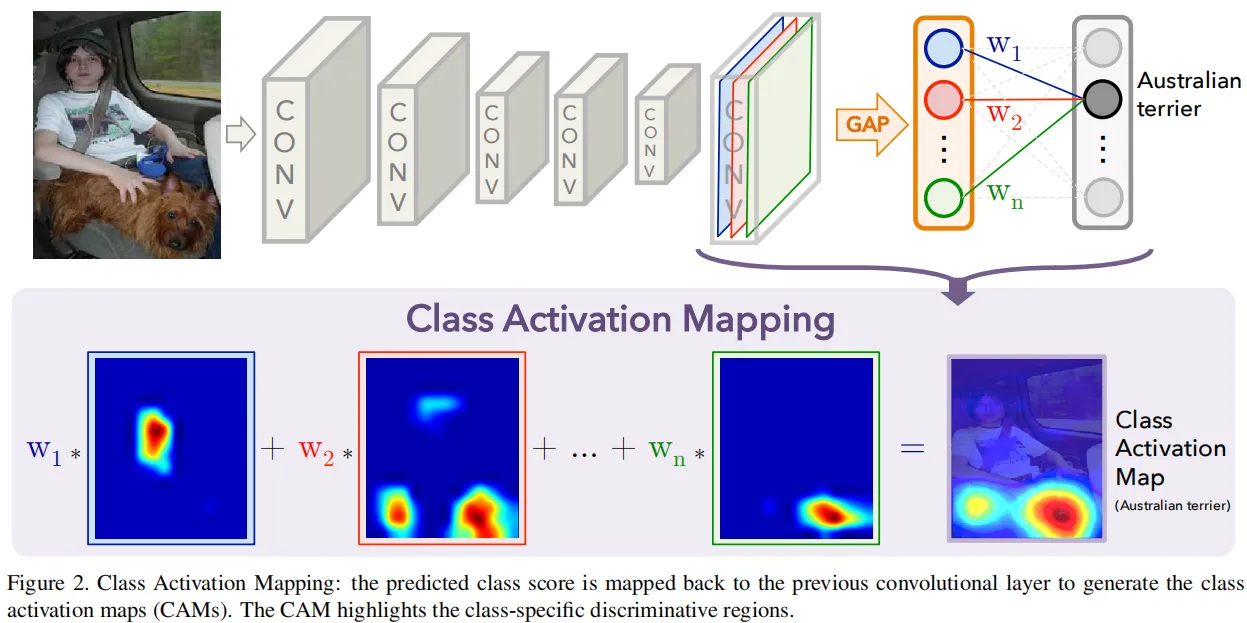 CAM: Class Activation Mapping（CVPR 2016）速读_low-resolution class ...