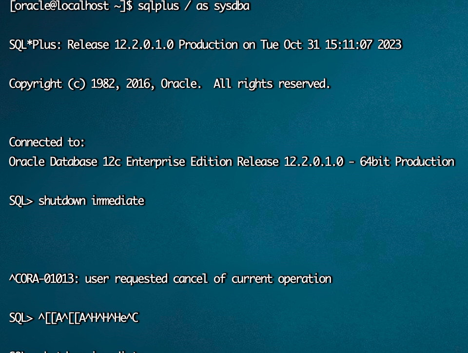 oracle 重启步骤及踩坑经验_oracle重启-CSDN博客