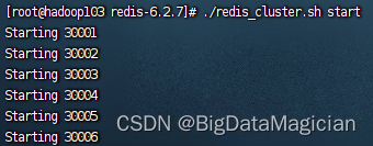 CentOS安装Redis教程-shell脚本一键安装配置-CSDN博客