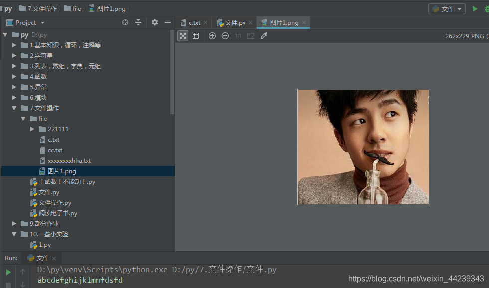 python-文件基础知识_file=open('ipdaili.txt','r')-CSDN博客