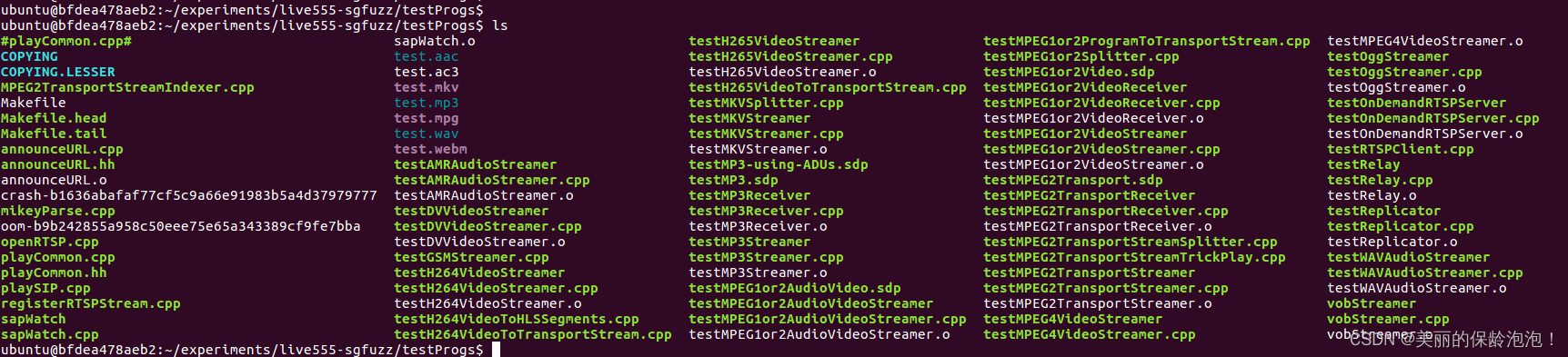 SGFuzz使用及profuzzbench的使用-CSDN博客