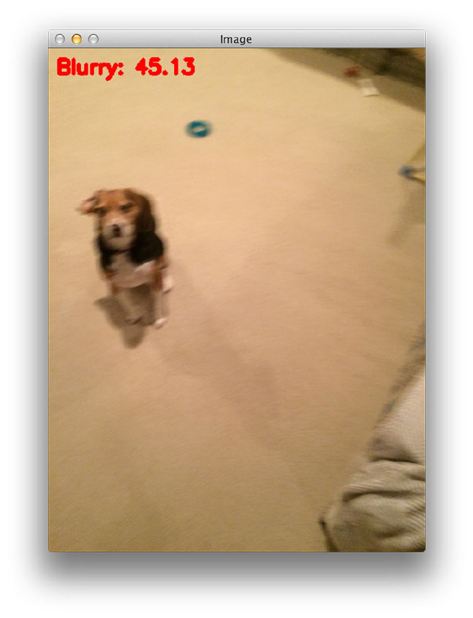 用 Opencv 和 Python 模糊检测analysis Of Focus Measure Operators For Shape From Csdn博客