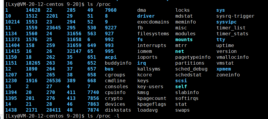 [ Linux ] 进程概念，pcb，查看进程，pid，ppid，fork_打印各自进程pid和ppid-CSDN博客