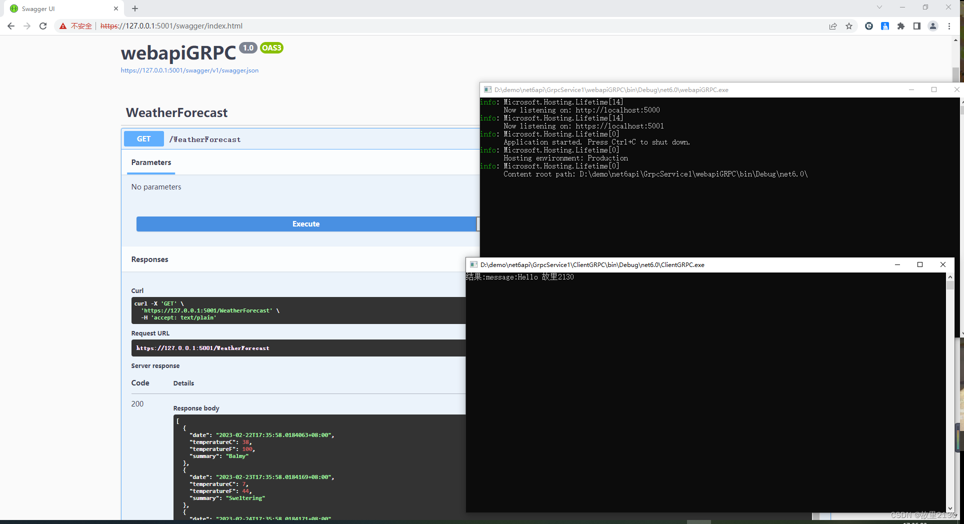 .NET6中使用GRPC详细描述_net6 grpc-CSDN博客