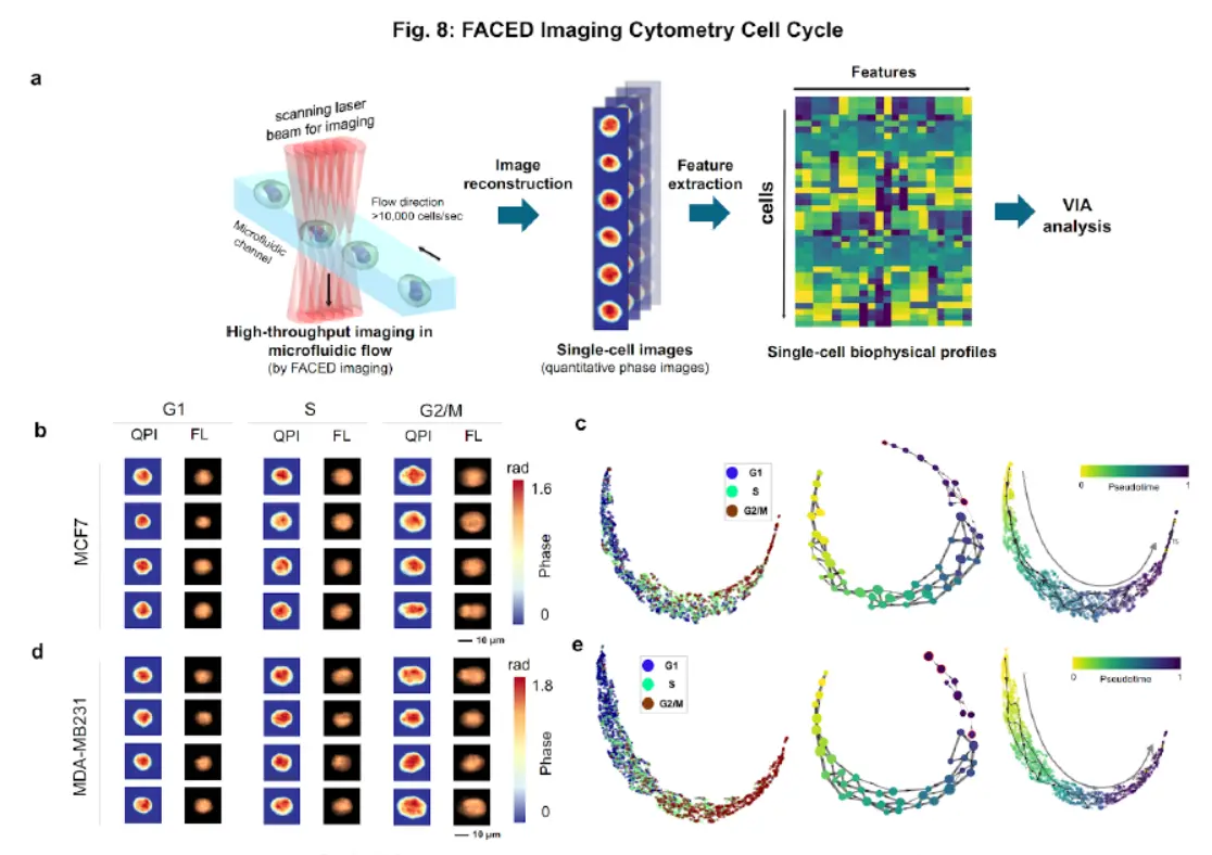 单细胞数据拟时分析之VIA（我的优势你们比不了）_pyvia-CSDN博客