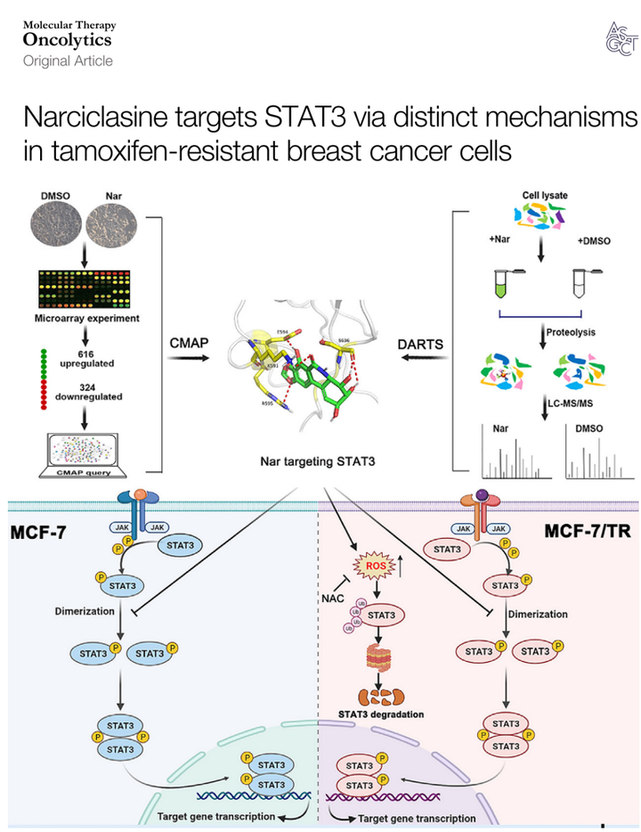 华盈生物-小分子非标记筛选策略-DARTS ：药物亲和反应靶向稳定性技术服务-CSDN博客