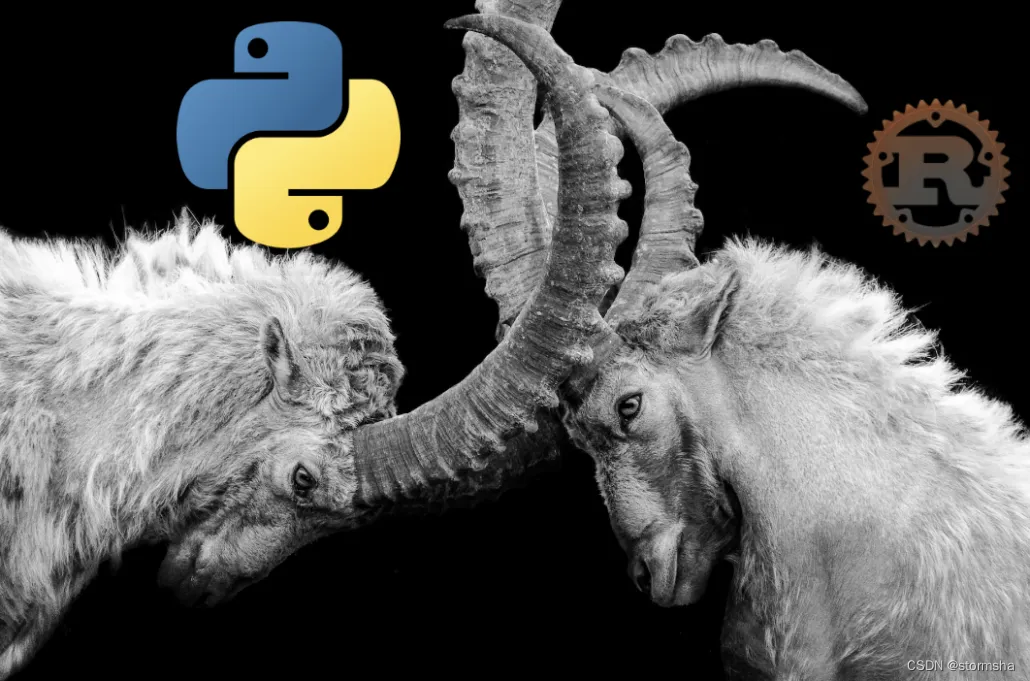 AGI 时代，Rust与Python谁是未来的语言？_rust python对比-CSDN博客