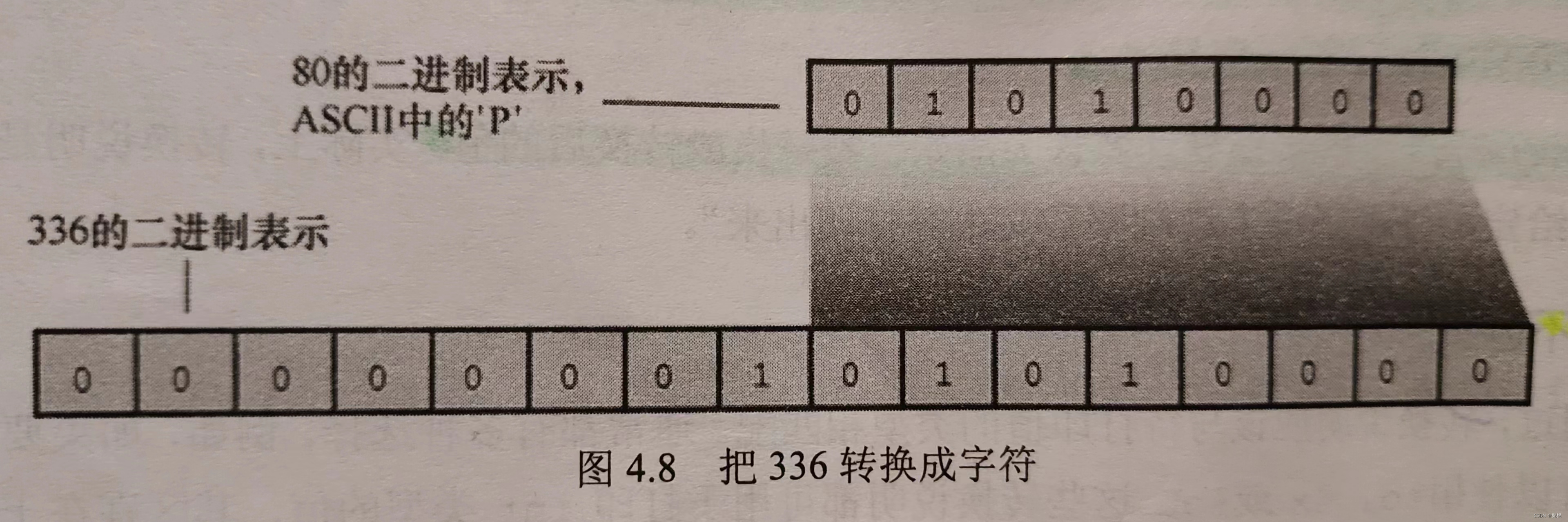 C语言printf()大全_c++ printf-CSDN博客