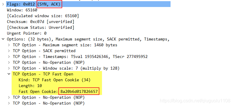 TCP快速打开-TCP Fast Open_tcp文件怎么打开-CSDN博客