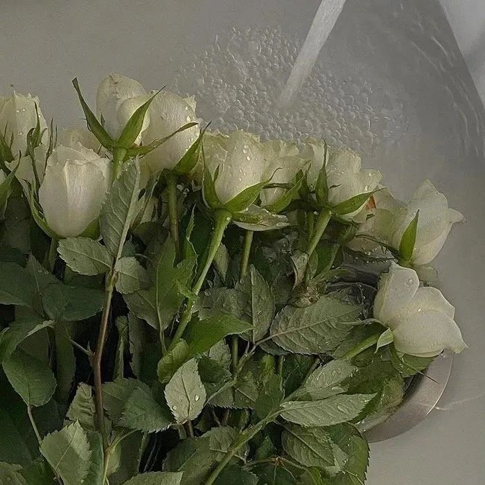 可爱喜庆朋友圈背景图分享-CSDN博客