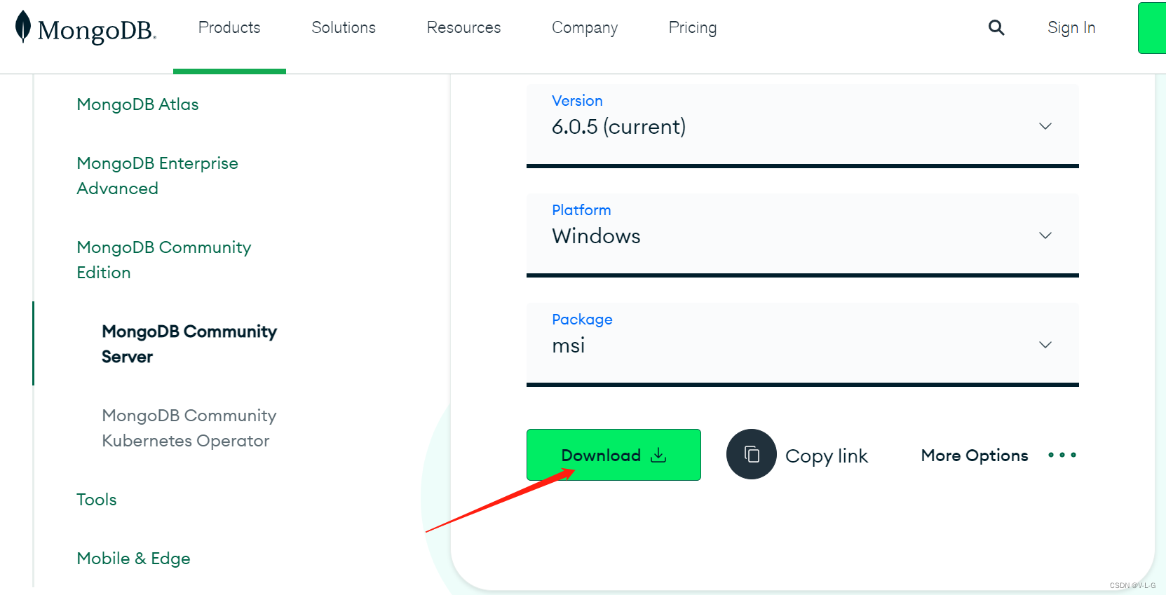 mongodb使用教程_mongodb怎么跑项目-CSDN博客