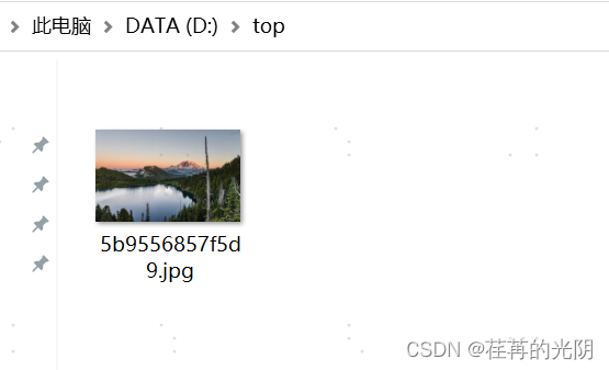 Java使用io流下载数据并保存到目标路径java以流的形式下载文件到本地 Csdn博客