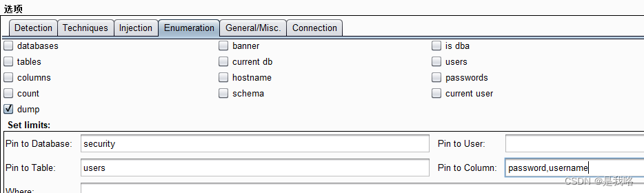 sql注入 BurpSuite与sqlmap联动，sqlmap友好图形化界面解决办法 CO2(sqlmap插件) 使用_burpsqlmap插件-CSDN博客