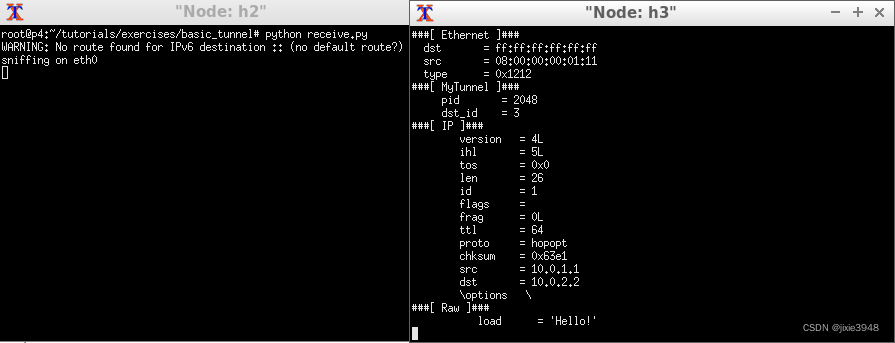 P4 Tutorial 快速上手 (3) Basic_tunnel_p4tutorials讲解-CSDN博客
