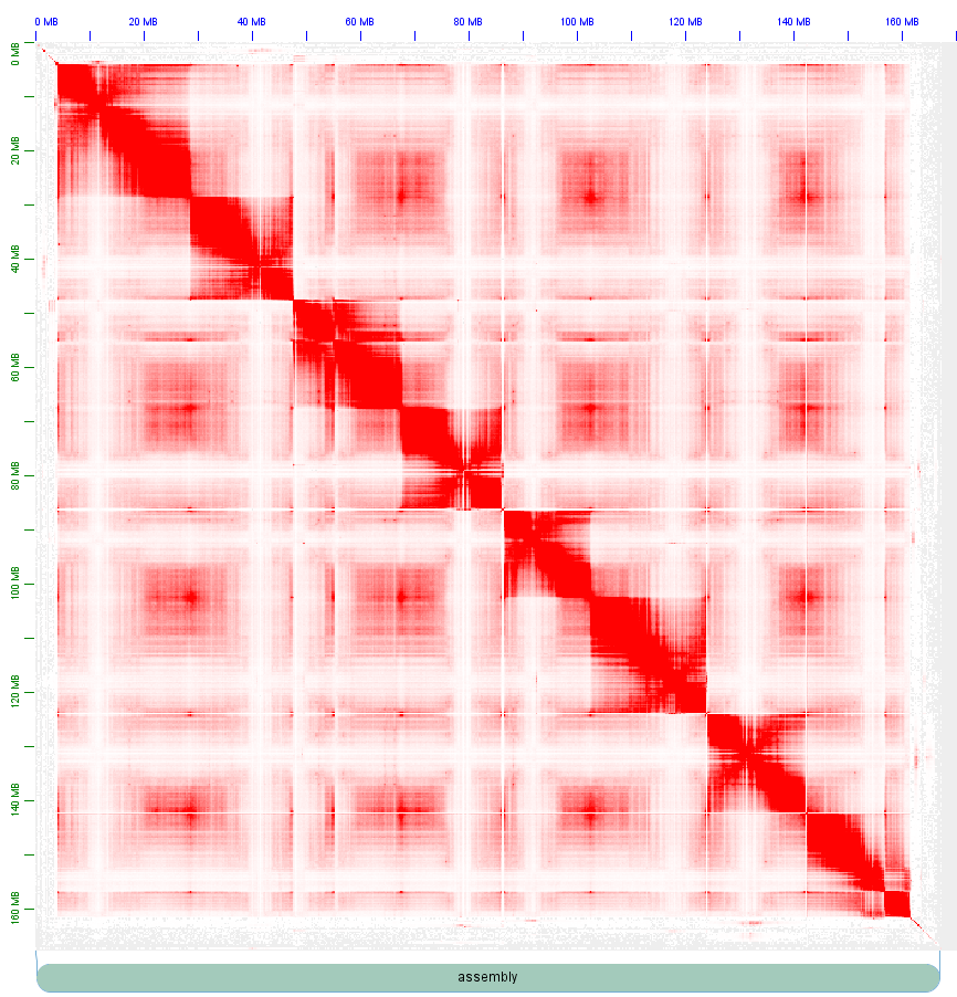 使用3D-DNA流程，结果不升反降怎么破？-CSDN博客